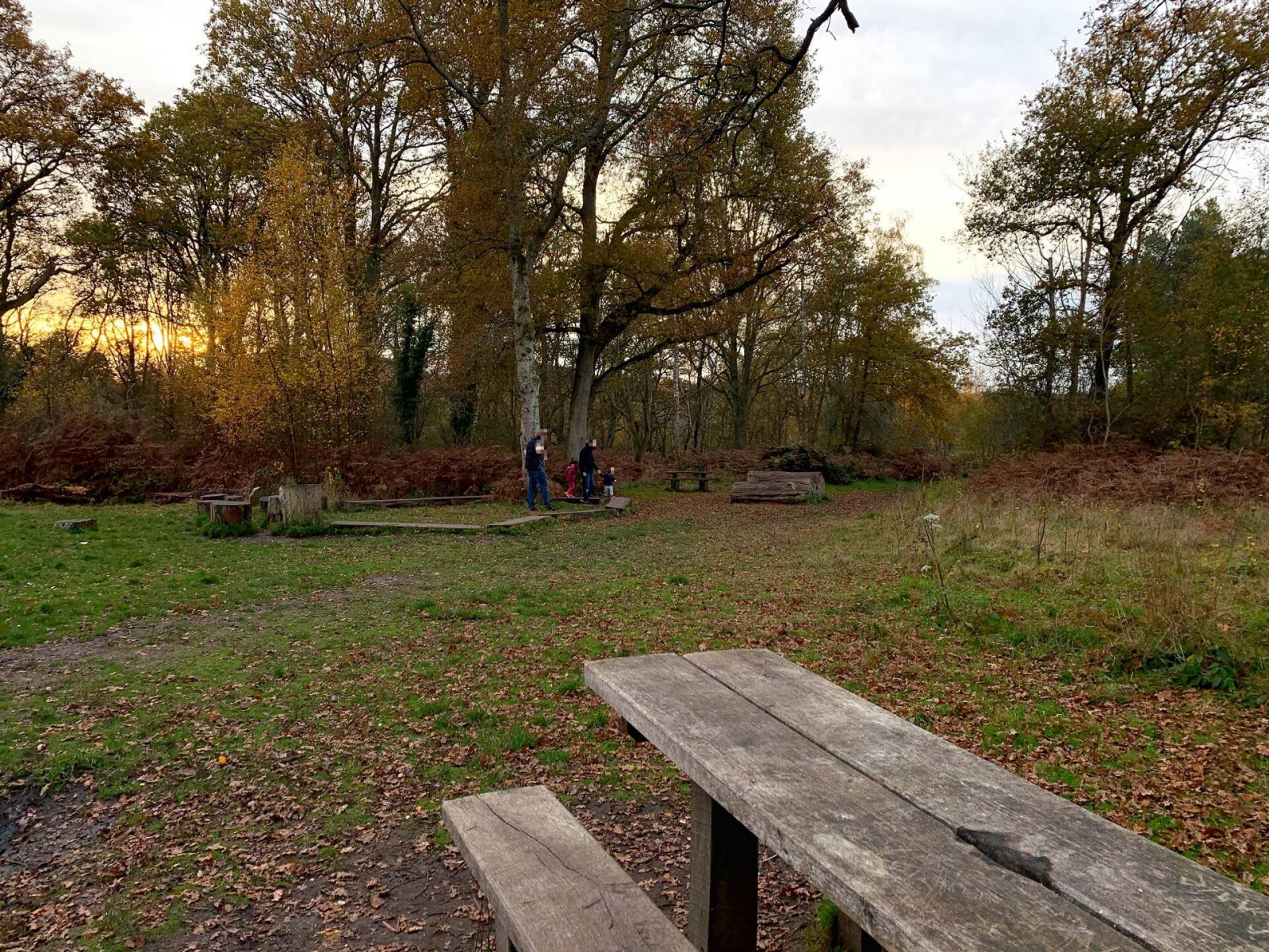 Bookham Commons - Surrey - Things to see, Pictures and Videos ...