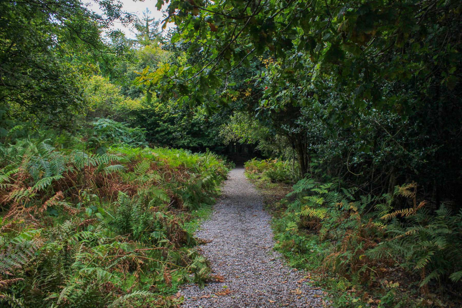 Things To Do and Places To Visit in Wye Valley - ViewBritain.com