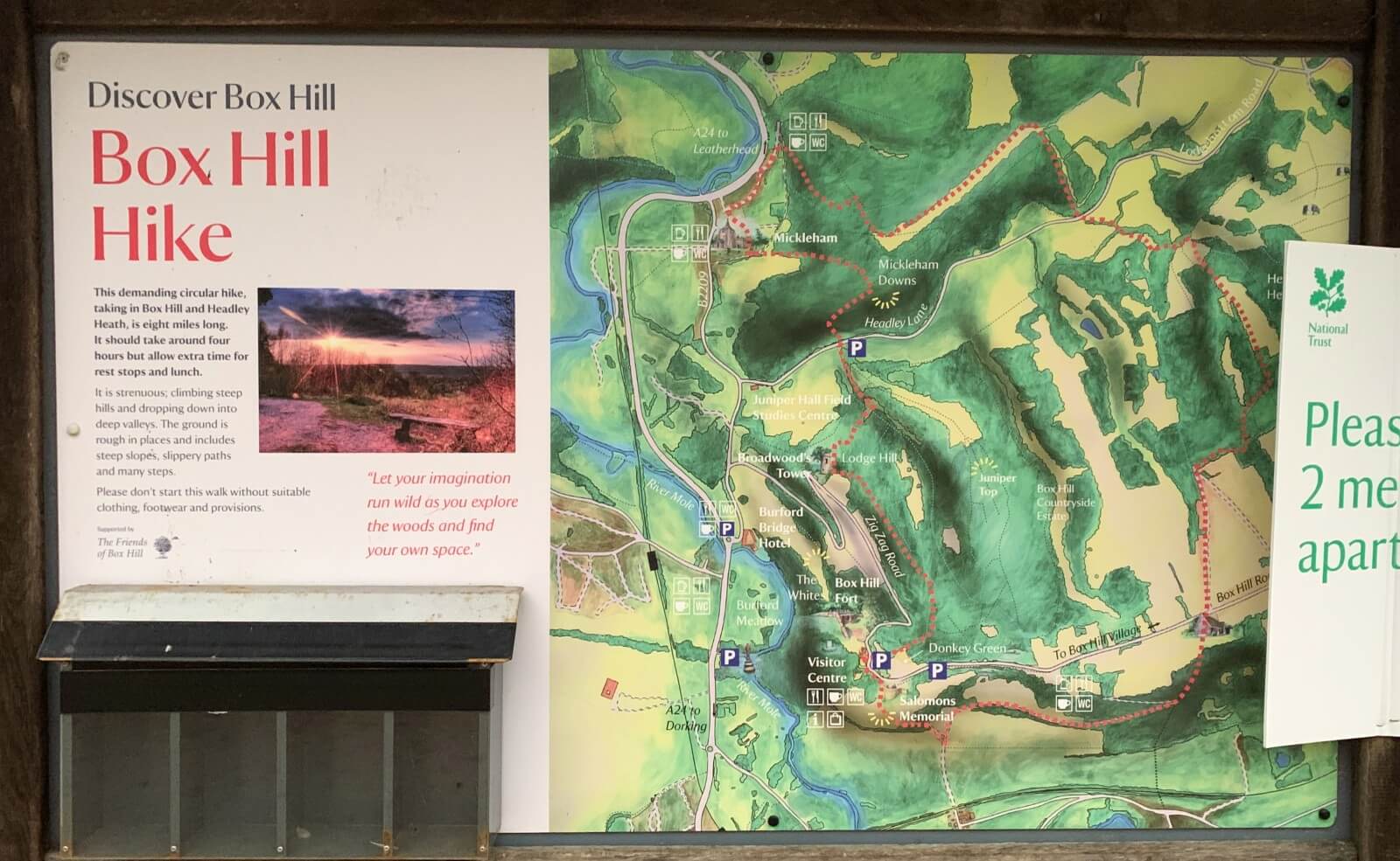 Box Hill, Surrey - Things To Do and See, Pictures and Videos ...