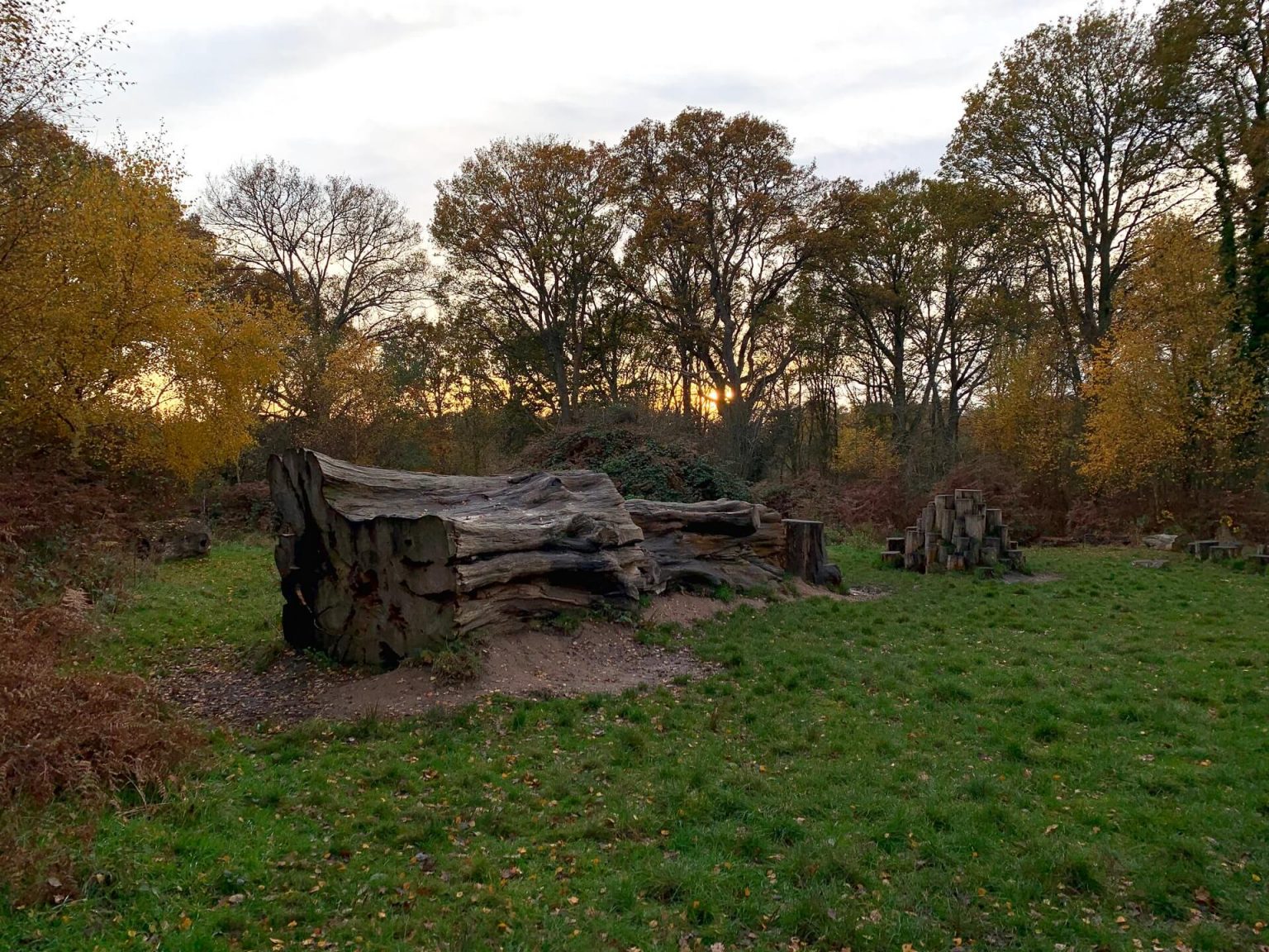 Bookham Commons - Surrey - Things to see, Pictures and Videos ...